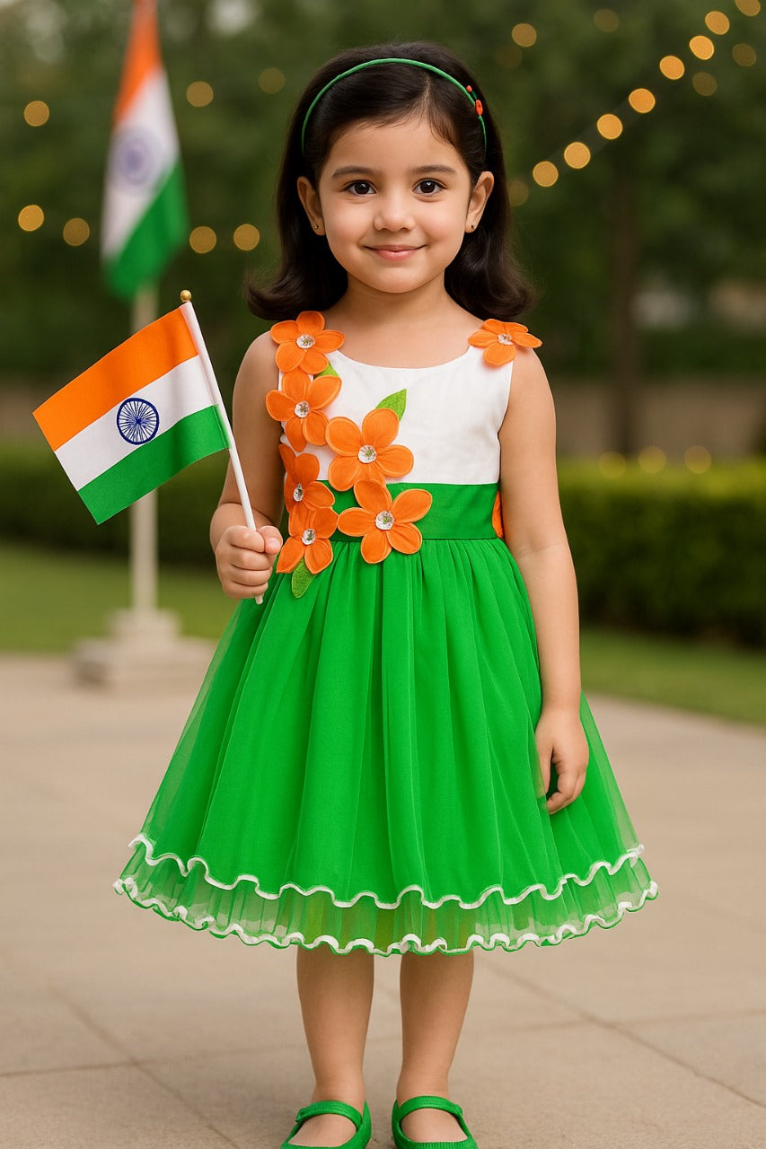 Girls Floral Applique Tricolor Independence Day Special Dress – Wish Karo